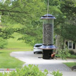 Squirrel-X™ MX5 Squirrel-Resistant Bird Feeder at Menards®
