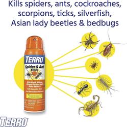 Terro® Aerosol Spider Killer - 16 oz. at Menards®