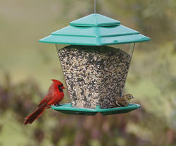 More Birds® Square Hopper Bird Feeder - Assorted Colors at Menards®