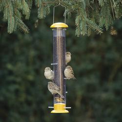More Birds® 19" Topsy Tails Tube Finch Bird Feeder at Menards®