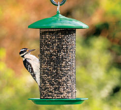 More Birds® Seed Screen Bird Feeder at Menards®