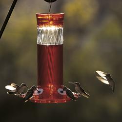 More Birds® Diamond Hummingbird Feeder - 30 oz at Menards®