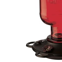 More Birds® Red Glass Elixir Hummingbird Feeder - 13 oz at Menards®