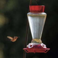 More Birds® Royal Hummingbird Feeder - 28 oz at Menards®