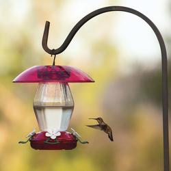 More Birds® Plastic Jubilee Hummingbird Feeder - 20 oz at Menards®