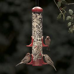 More Birds® 15" Tube Songbird Bird Feeder at Menards®