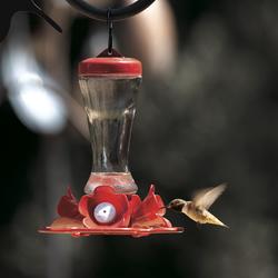 More Birds® Impatiens Glass Hummingbird Feeder - 8 oz at Menards®