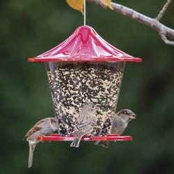 More Birds® Round Hopper Bird Feeder - Assorted Colors at Menards®