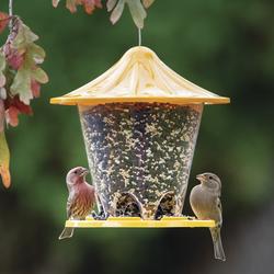 More Birds® Round Hopper Bird Feeder - Assorted Colors at Menards®