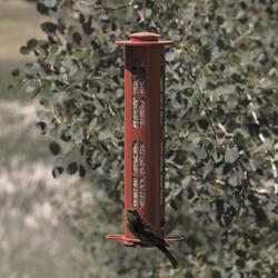 Squirrel-X™ X8 Squirrel-Resistant Red Bird Feeder at Menards®