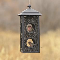 Perky-Pet® Fly-Thru Bird Feeder at Menards®