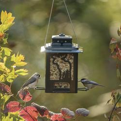 More Birds® Woodland Hopper Green Metal Bird Feeder at Menards®