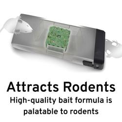 Victor® Fast-Kill Brand Refillable Mouse Poison Bait Station - 20 Pack ...
