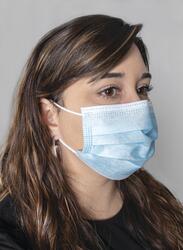 3-Ply Disposable Mask - 10 Pack at Menards®