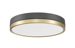 Z-Lite Algar 16" Matte Black & Modern Gold LED Flush Mount Ceiling ...