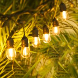 ZONE 24' 12-Light Warm White LED Cafe String Light at Menards®