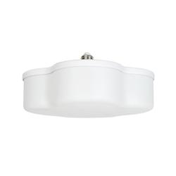 ZONE® E26 Daylight LED Light Bulb at Menards®