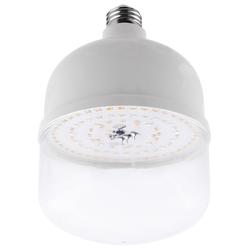 ZONE® E26 LED Grow Light Bulb at Menards®