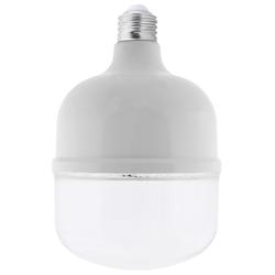 ZONE® E26 LED Grow Light Bulb at Menards®