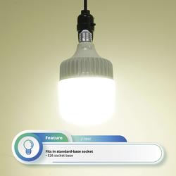 Zone High-Output LED Utility Bulb at Menards®
