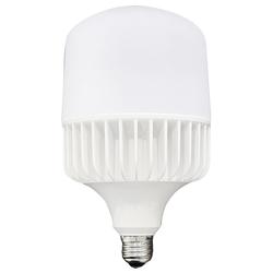 Zone High-Output LED Utility Bulb at Menards®