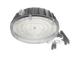 Patriot Lighting® Grey LED Dusk-to-Dawn Outdoor Security Area Light at ...