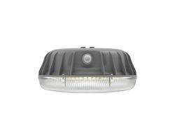 Patriot Lighting® Grey LED Dusk-to-Dawn Outdoor Security Area Light at ...