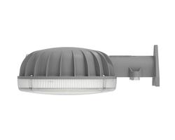 Patriot Lighting® Gray LED Dusk-to-Dawn Outdoor Security Area Light at ...