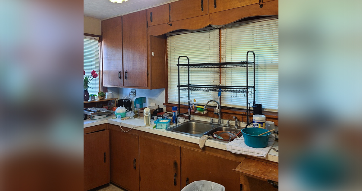 Modernized Kitchen Renewal - Project by Marina at Menards®