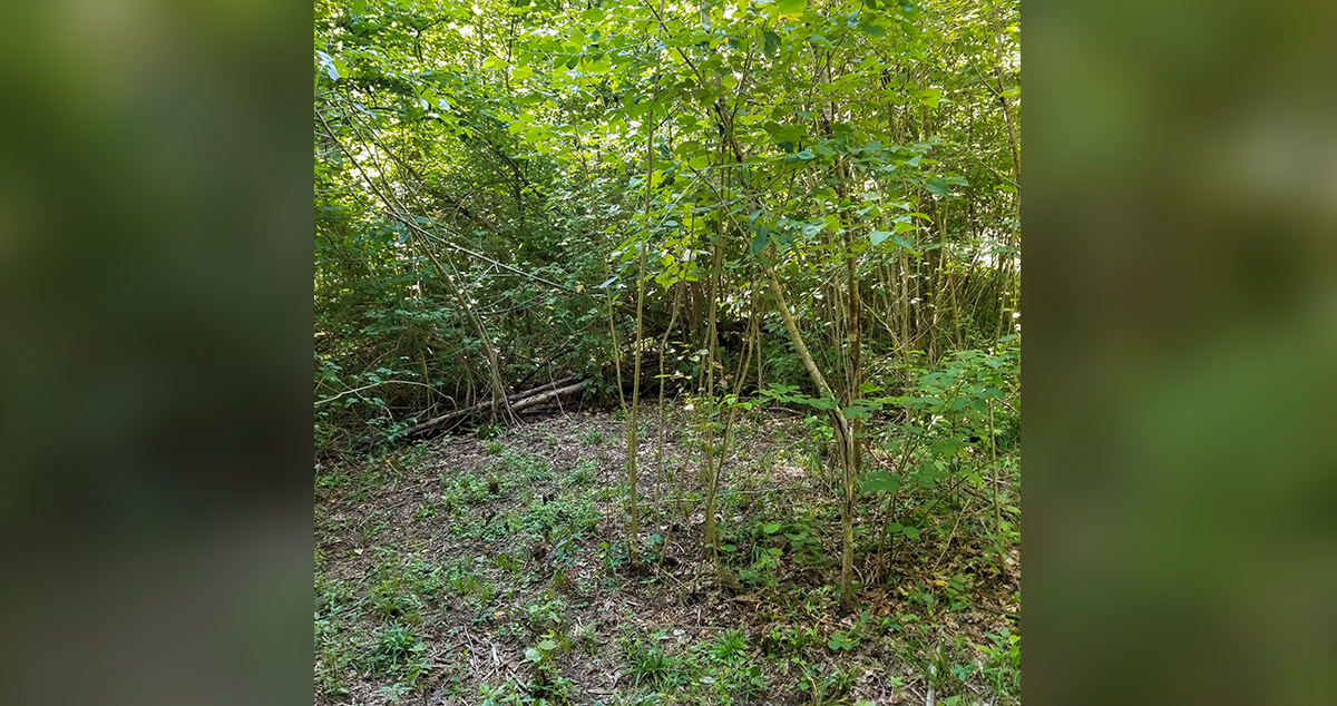 Hunting Shack - Project by Tony at Menards®