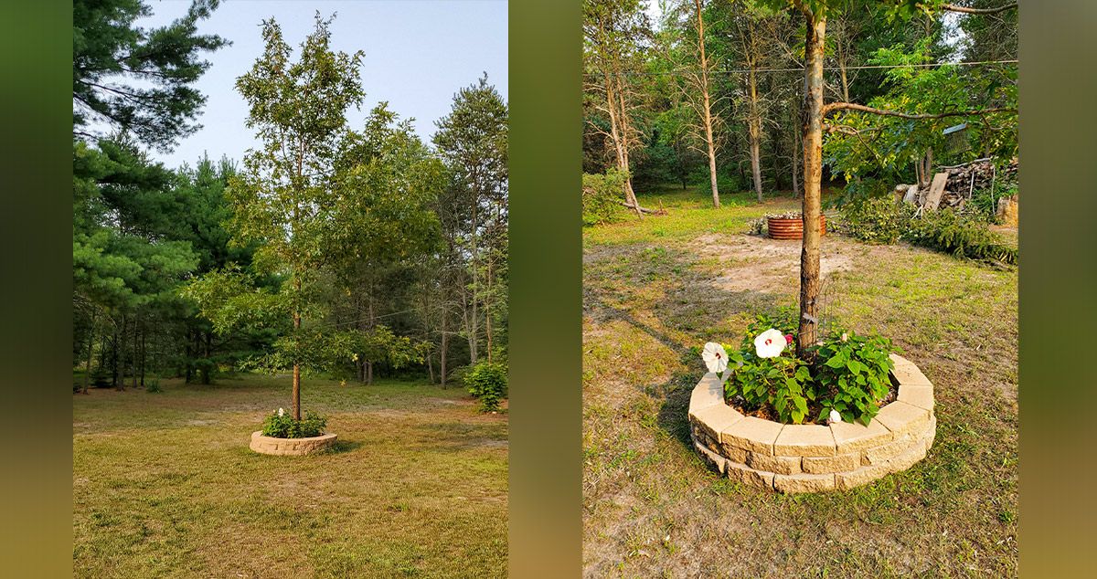 Planter Tree Ring - Project by Joe at Menards®