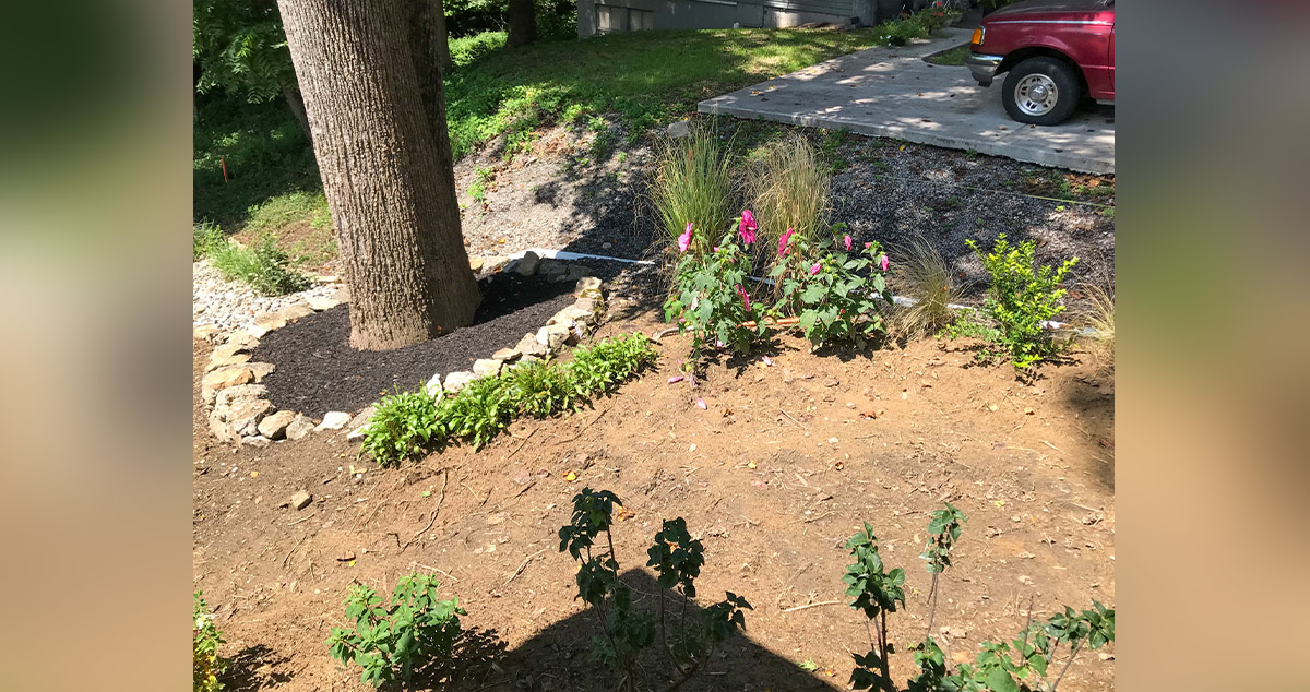 Neglected Backyard Makeover - Project by Teresa at Menards®