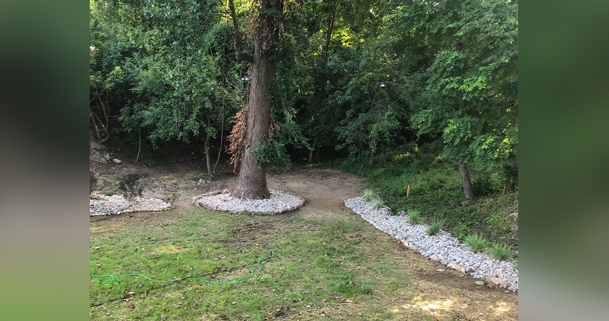 Neglected Backyard Makeover - Project by Teresa at Menards®