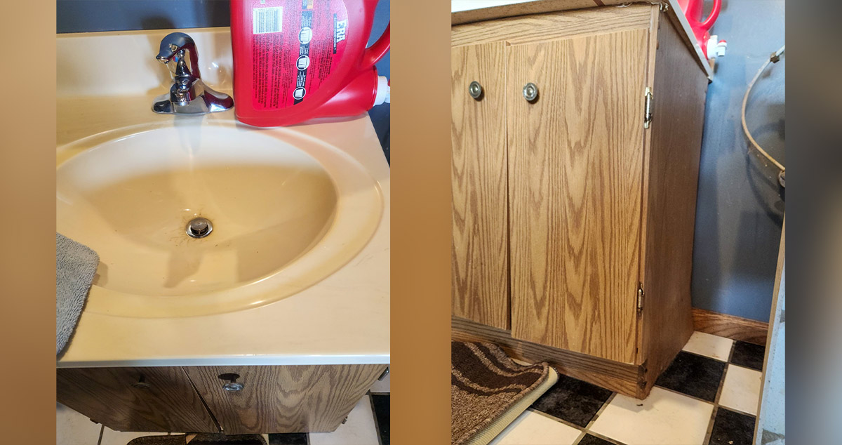 Bathroom with Walk-In Tub - Project by Arlita at Menards®