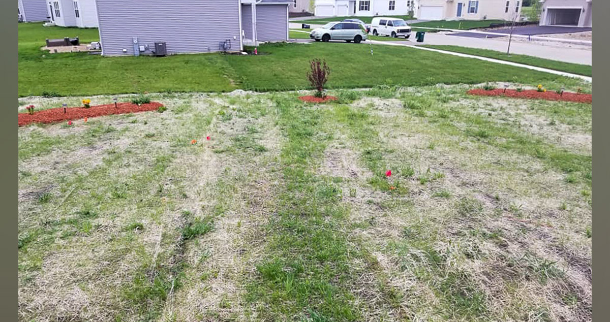 My Backyard Sanctuary - Project by Ron at Menards®