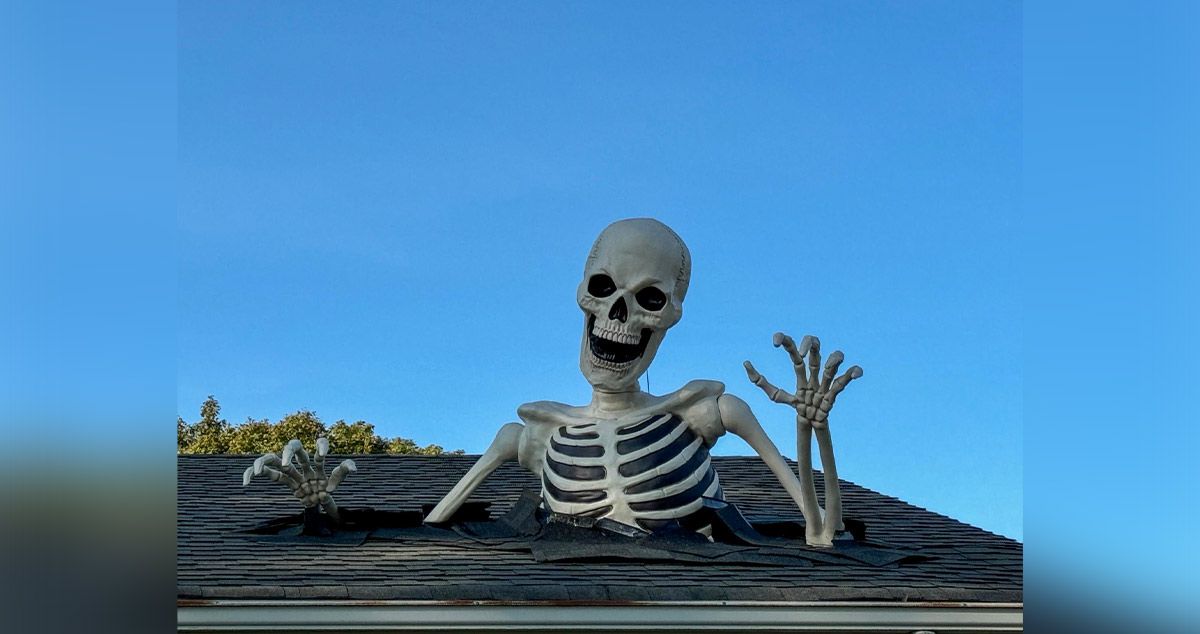 Ground-Breaking Skeleton - Project by Skyler at Menards®