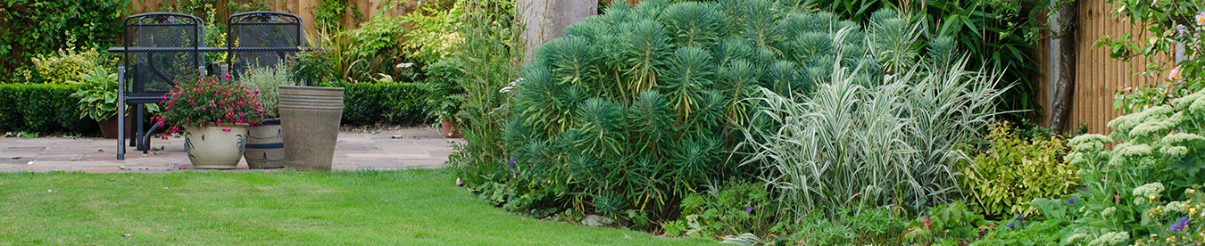 Outdoors Buying Guides at Menards®