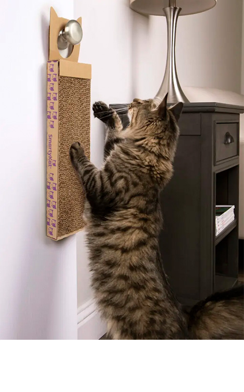 Cat Supplies at Menards®