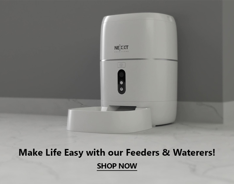 Cat Supplies at Menards®