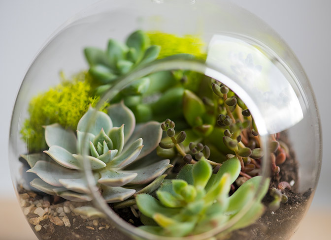 Apartment Gardening at Menards®