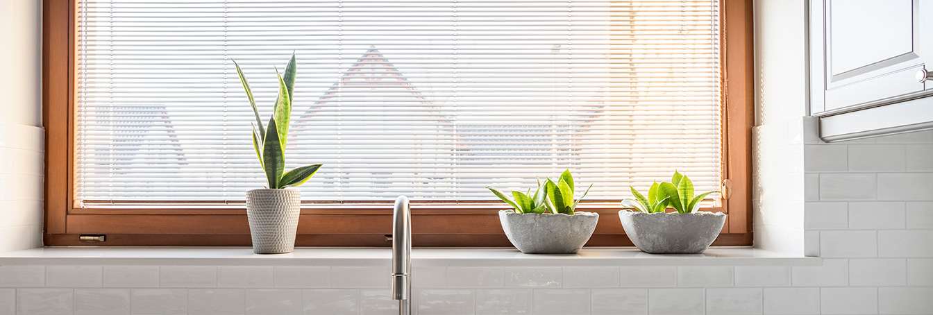 Apartment Gardening at Menards®
