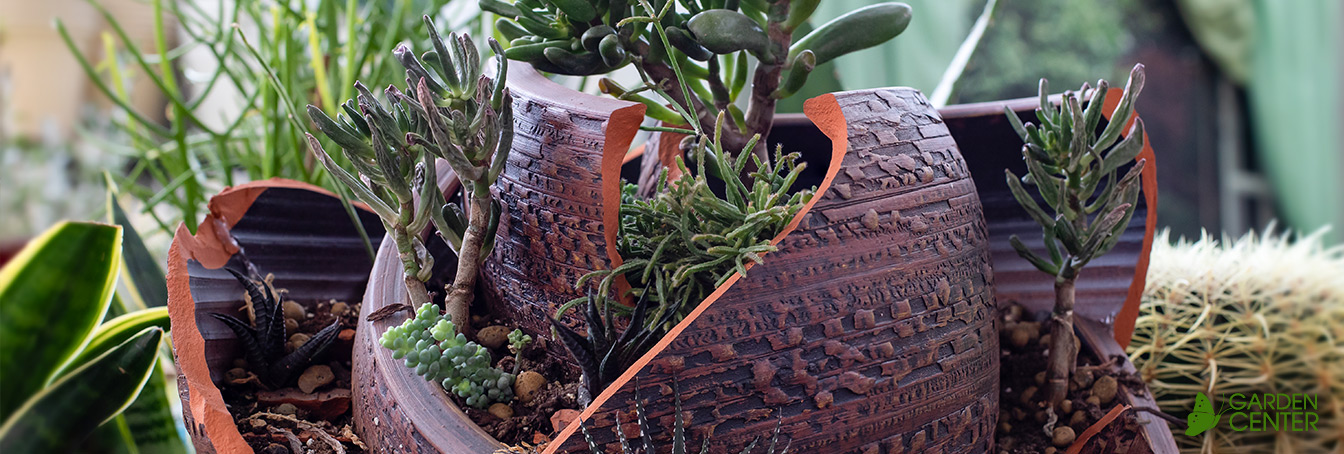 Broken Planter Projects at Menards®