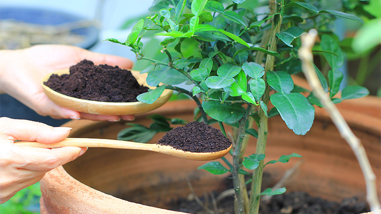 3 Ways to Compost with Coffee at Menards®