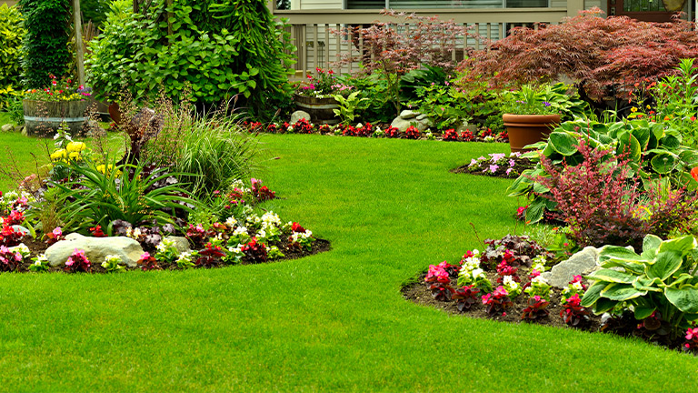 Tips for a Weed Free Garden at Menards®