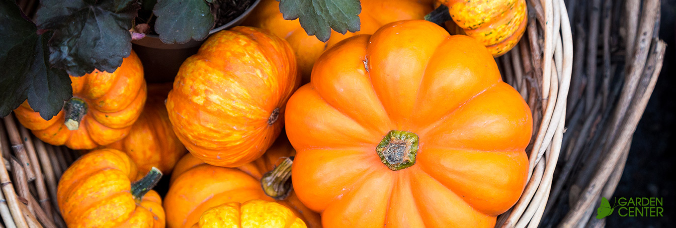 Decorating with Pumpkins at Menards®