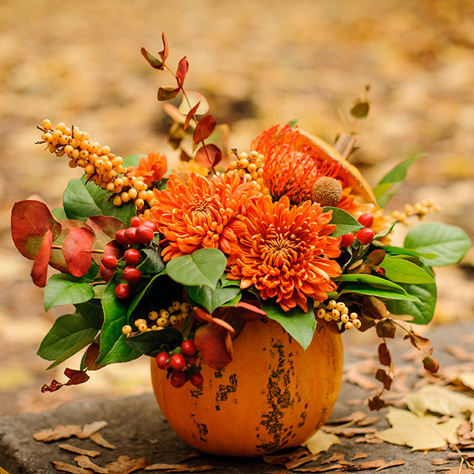 Decorating with Pumpkins at Menards®