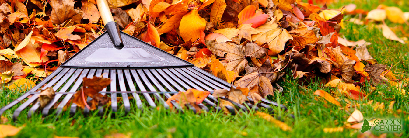 Fall Leaf Removal Solutions at Menards®