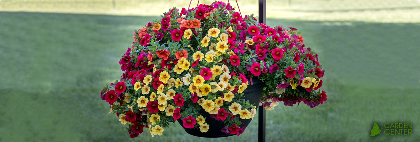 Healthy & Happy Hanging Flower Baskets at Menards®