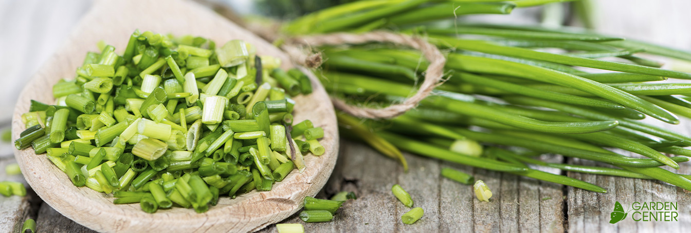 Chives at Menards®