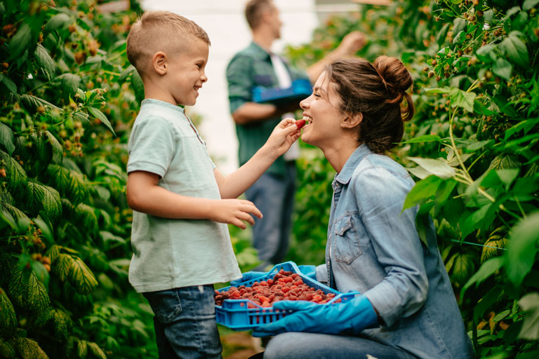 How To Grow Your Own Fruit at Menards®
